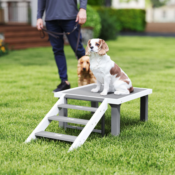 Pawhut Dog Training Platform, Wooden Dog Training Place Board with ...