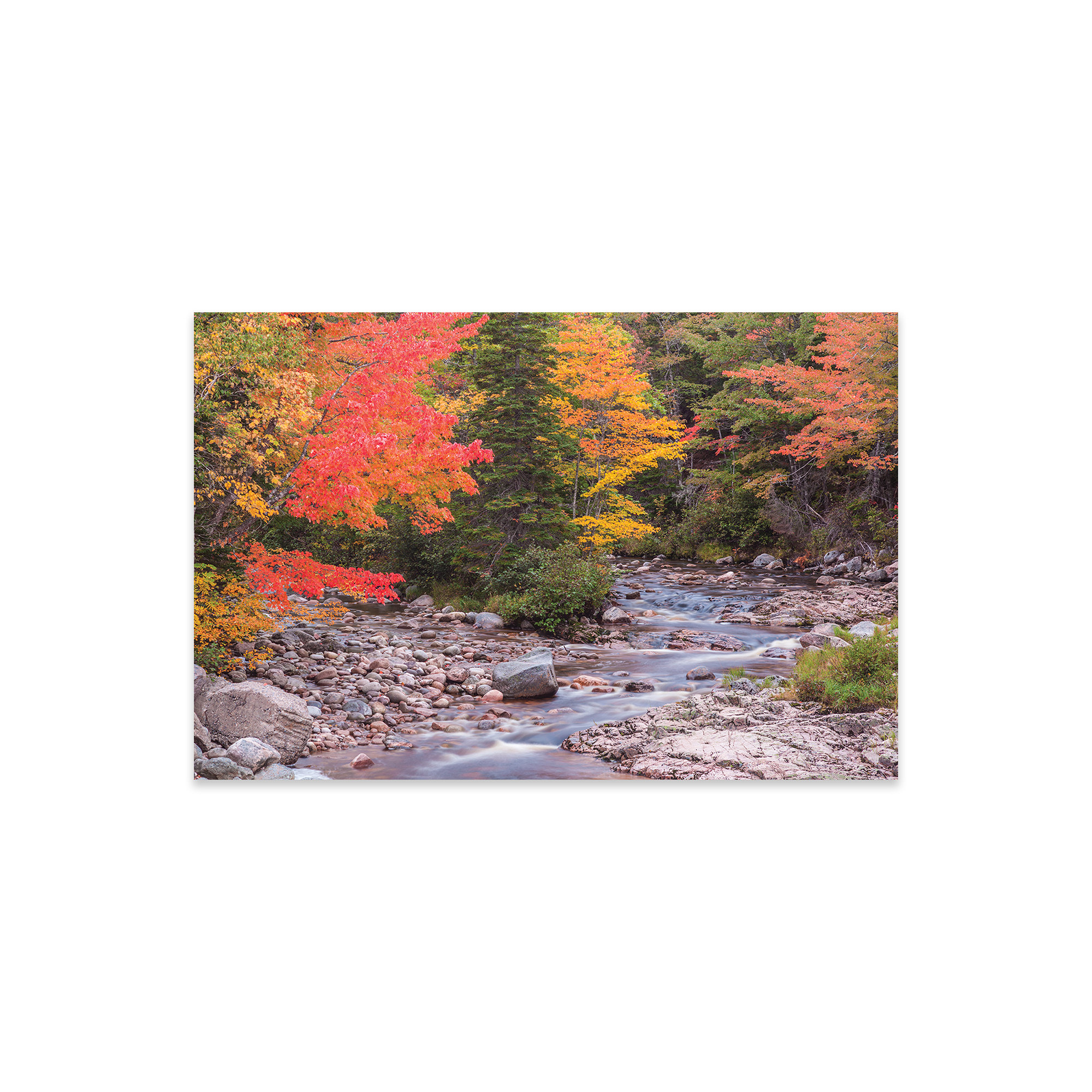 Ebern Designs Canada, Nova Scotia, Cabot Trail. Neils Harbour, Cape ...