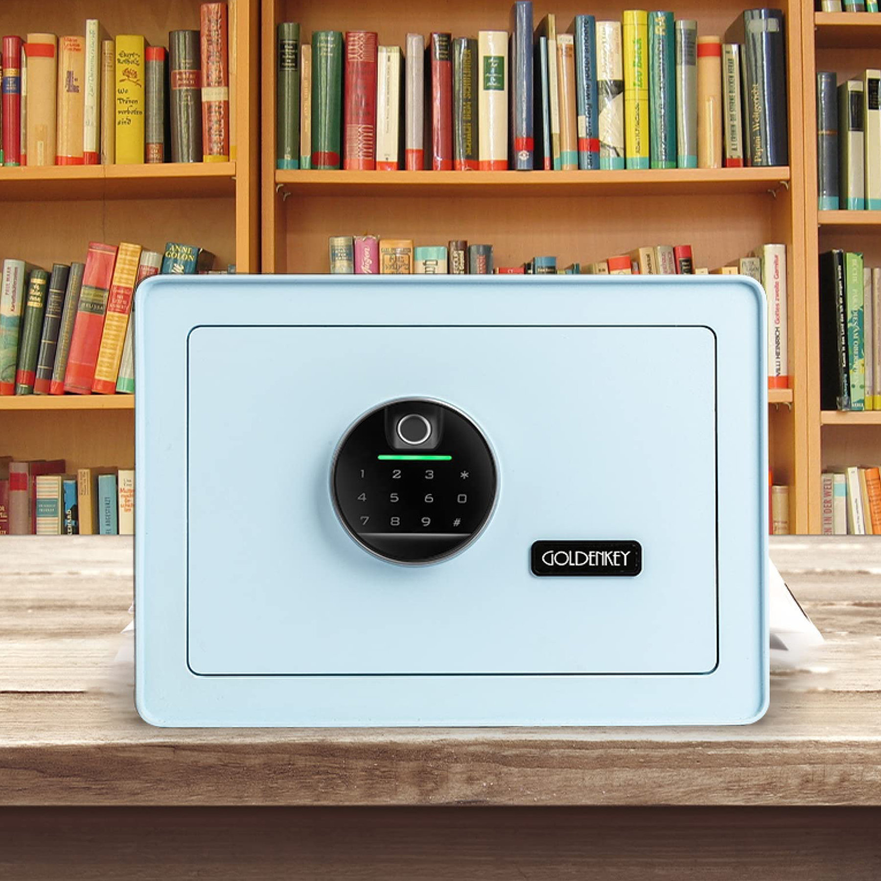 Banchy&Beauty Security Safe Lock - Wayfair Canada
