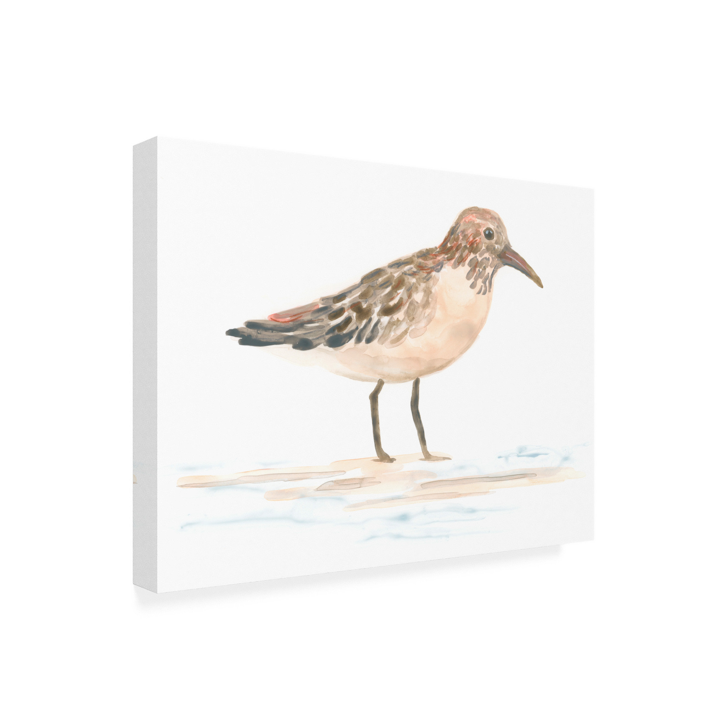 Millwood Pines Pretty Piper III On Canvas by June Erica Vess Canvas Art ...