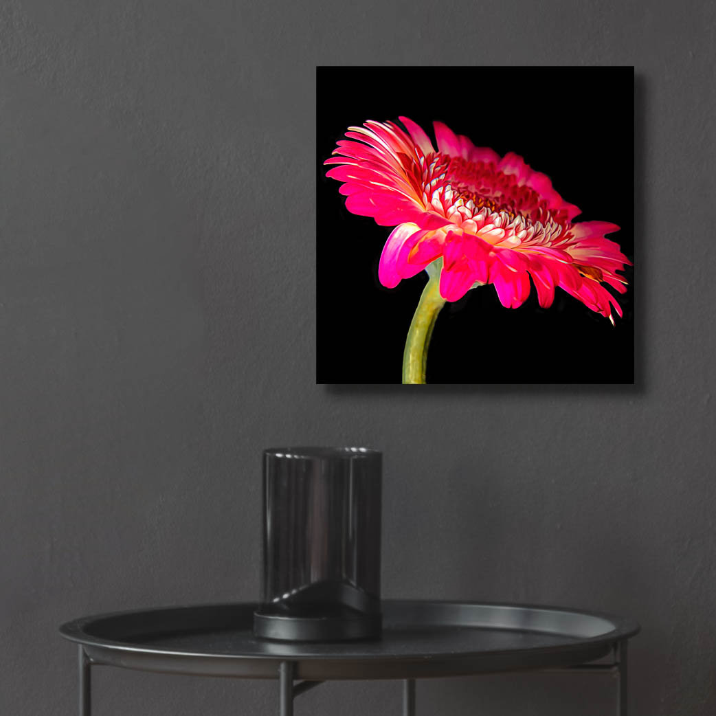 Ebern Designs " Awakening " by Pamela Plummer | Wayfair