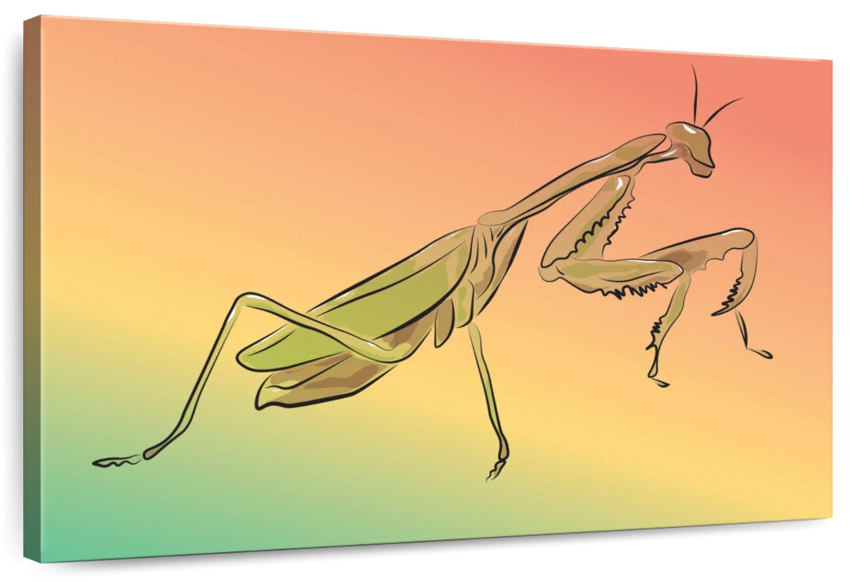 Ebern Designs Outline Of Praying Mantis | Wayfair