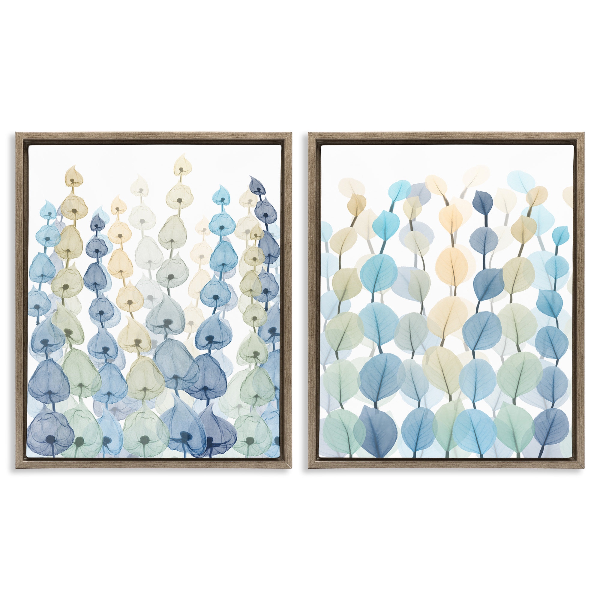 Winston Porter Seaweed & Ocean Plants Pattern 2 Piece Framed Floater ...