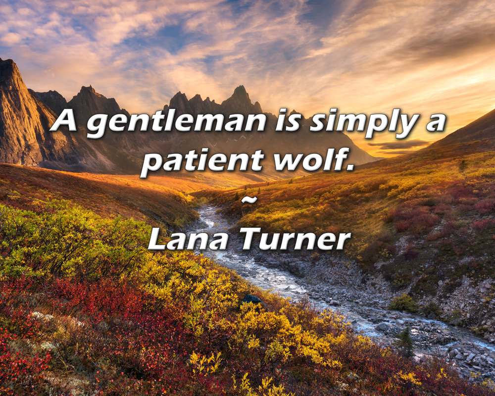 Trinx Lana Turner Quote: A gentleman is simply a patient wolf. | Wayfair