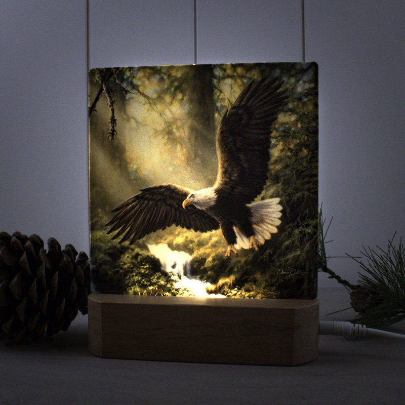 Glow Decor Eagle's Flight Night Light | Wayfair