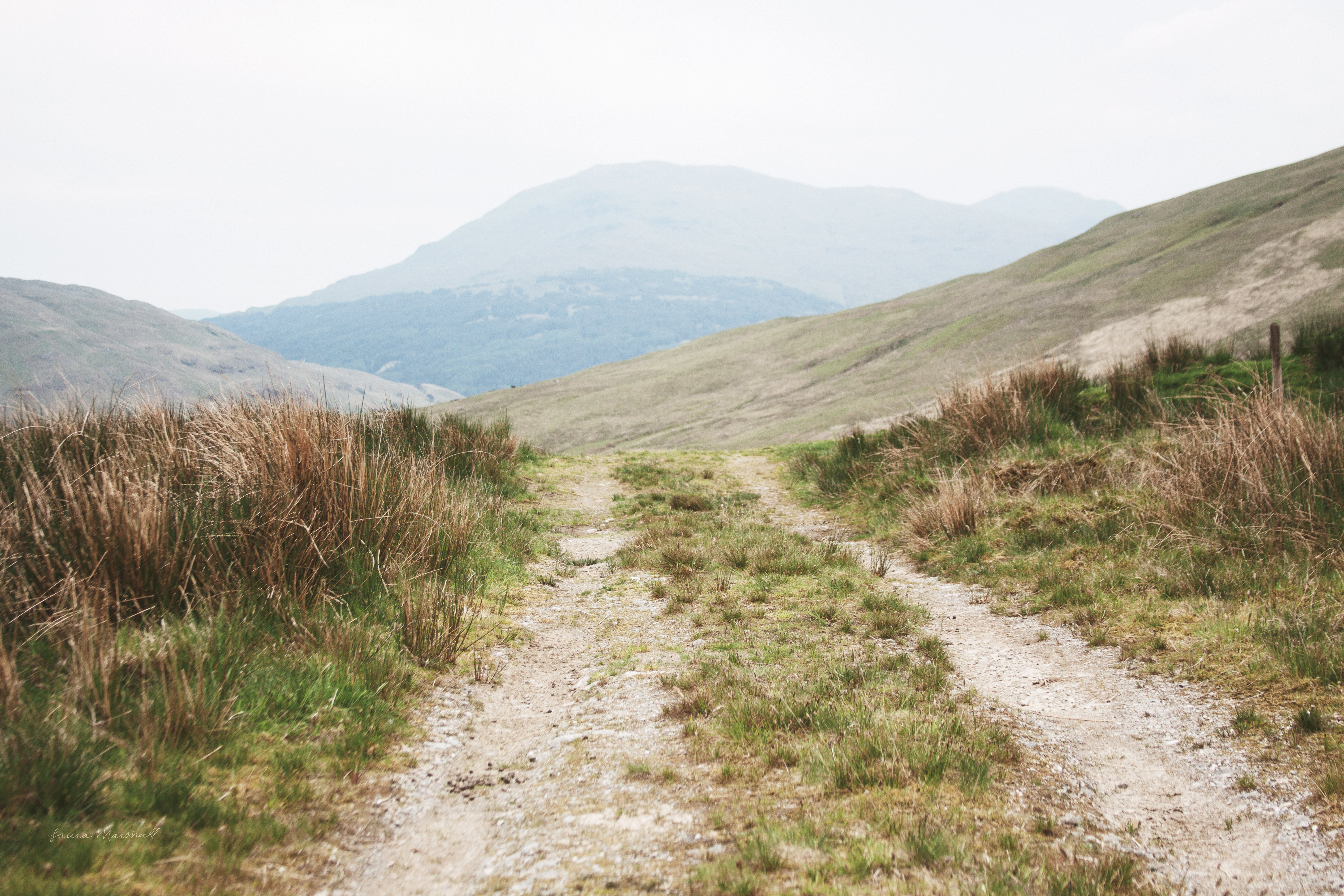 Ebern Designs Scottish Highlands I by Laura Marshall - Photograph ...