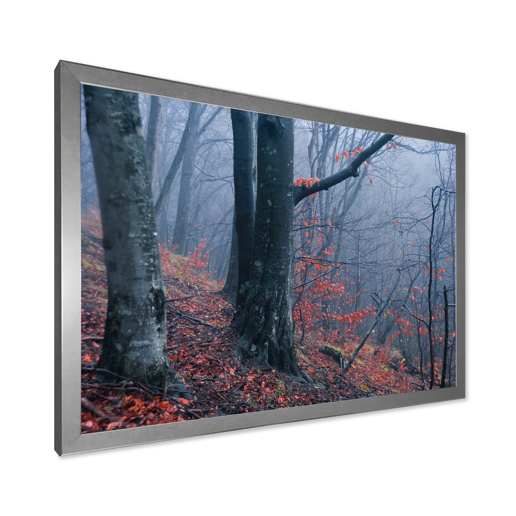Millwood Pines Autumn Rainy Foggy Forest - Picture Frame Photograph on ...