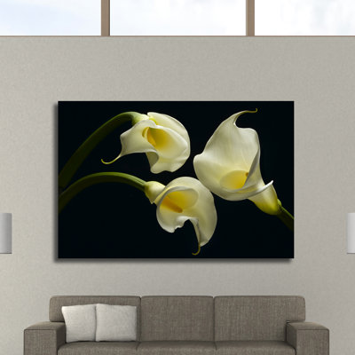 dakota fields johnone