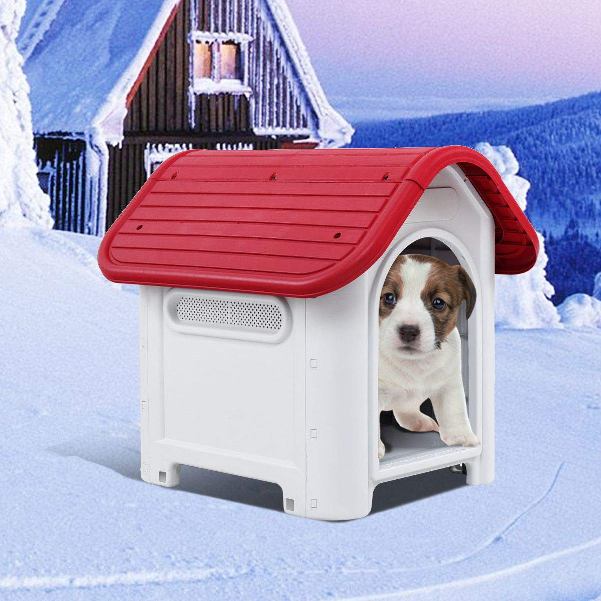 Tucker Murphy Pet™ Rapp Plastic Dog House "& Reviews" | Wayfair