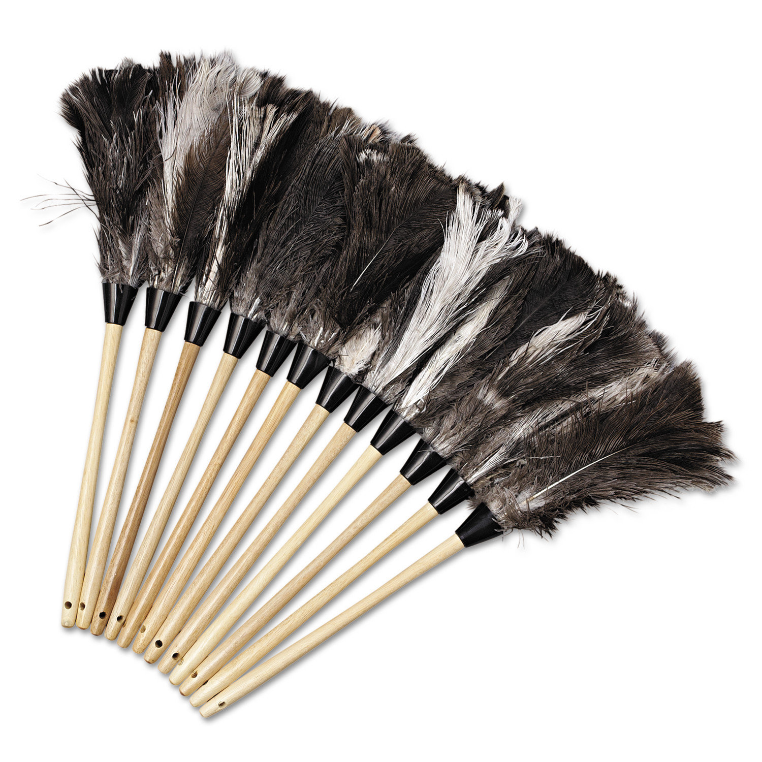 Unisan 13" Handle Professional Ostrich Feather Duster & Reviews ...