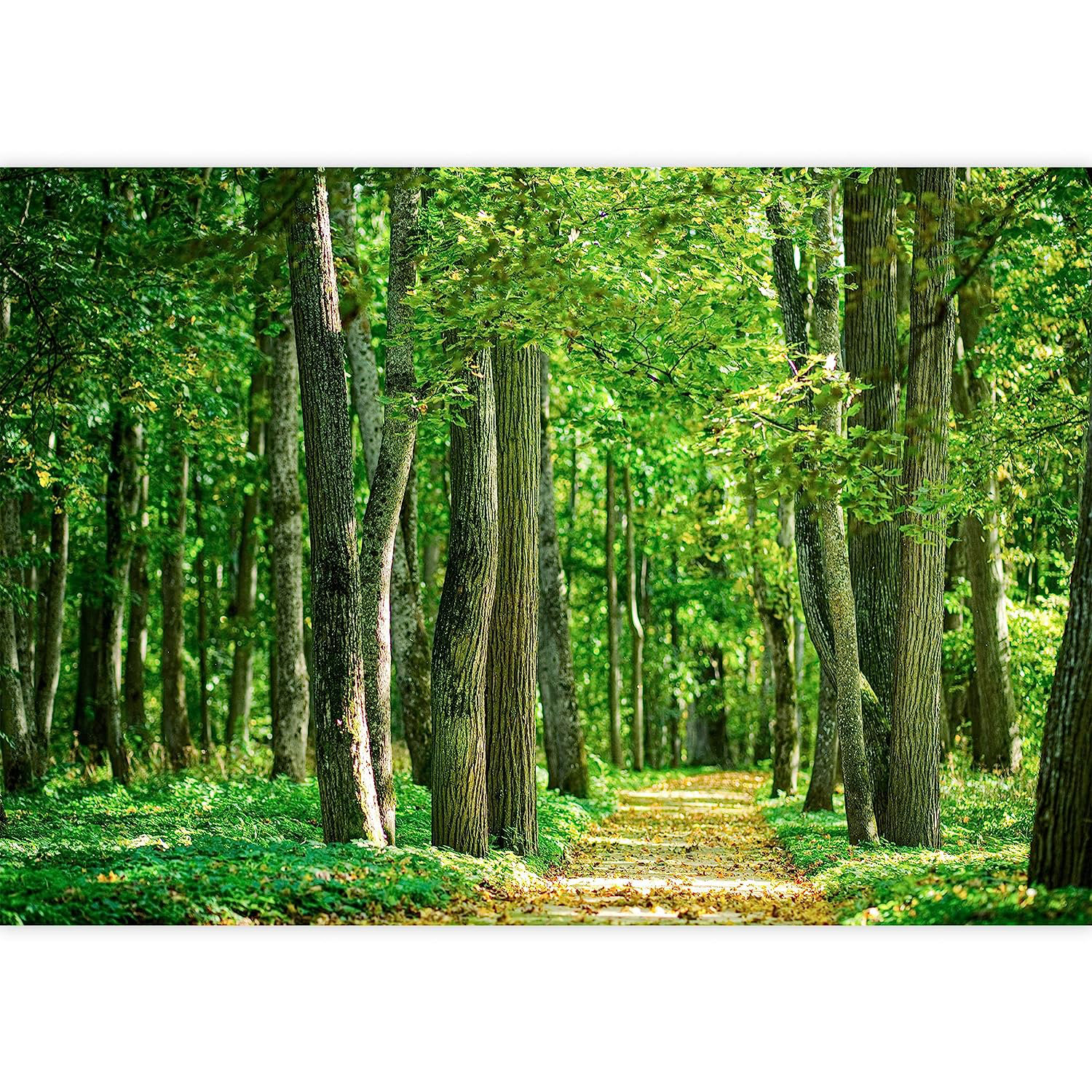IDEA4WALL Summer Spring Forest Path Wall Mural | Wayfair