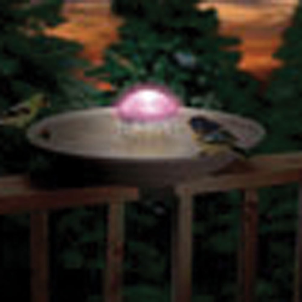Birds Choice Water Wiggler Bird Bath Water Agitator, Includes Rainbow ...