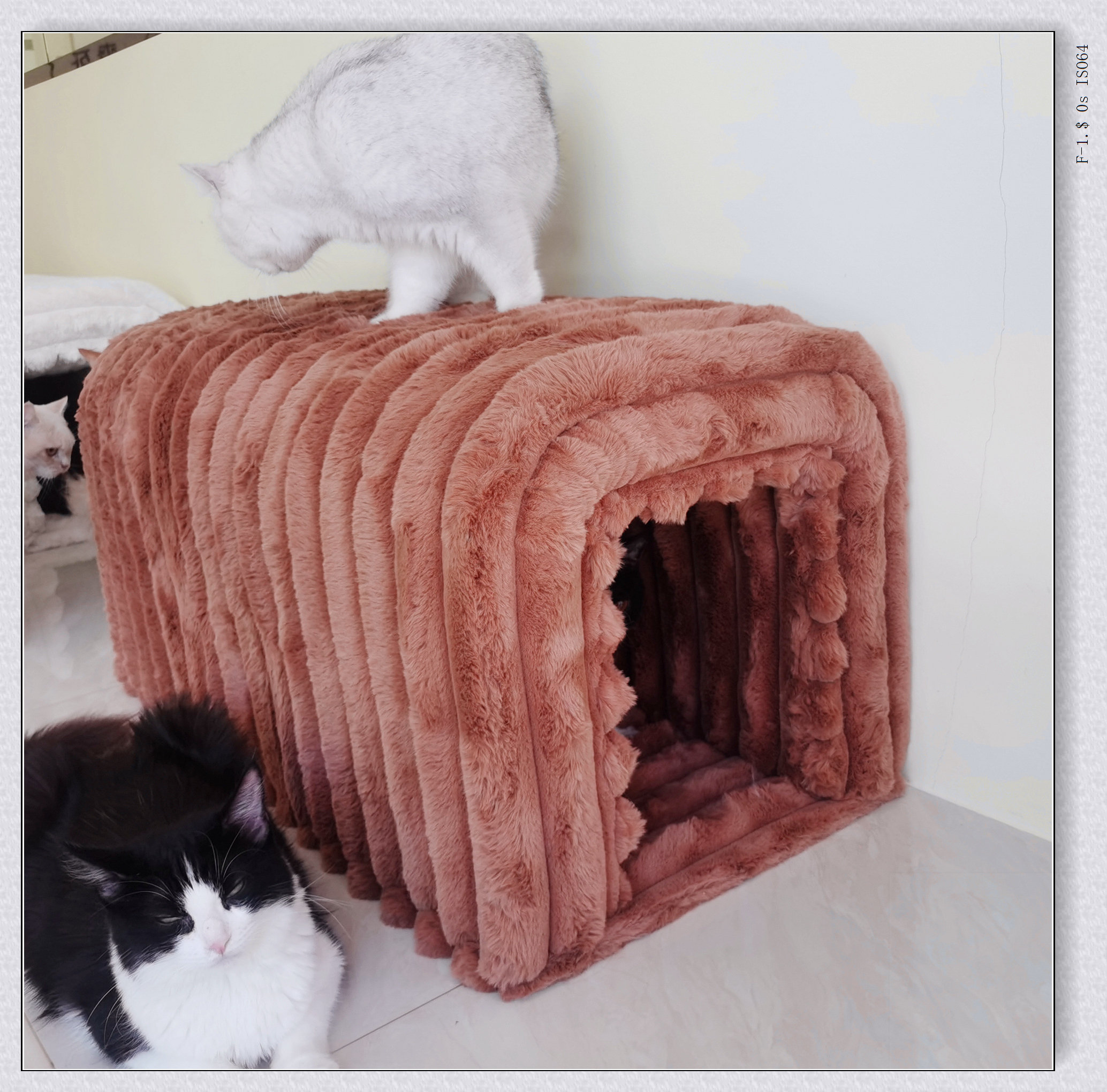 Ebern Designs Ottoman Storage Bench Pet Supplies Corduroy Bench Cat's ...