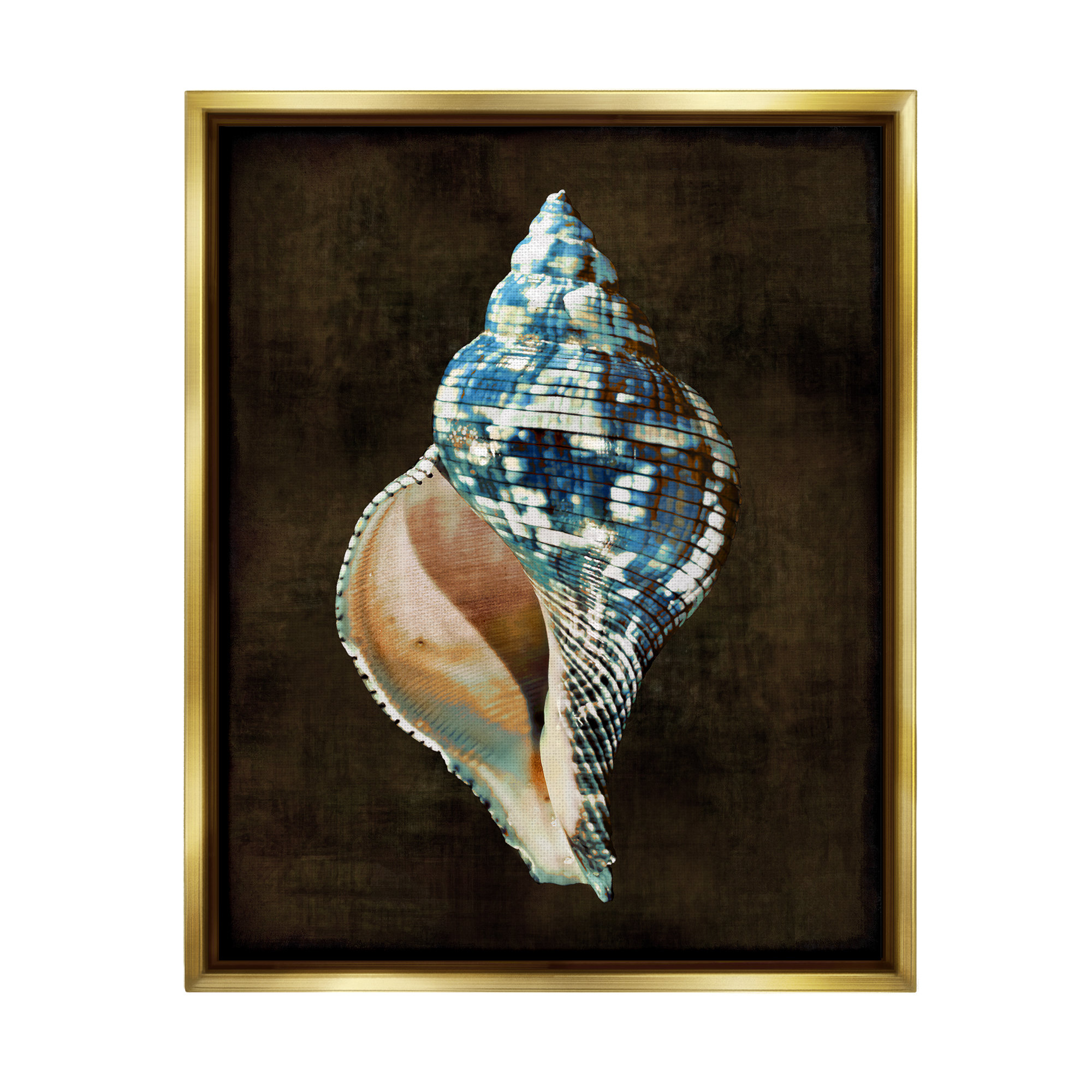 Dovecove Modern Conch Shell Framed Floater Canvas Wall Art Design By ...