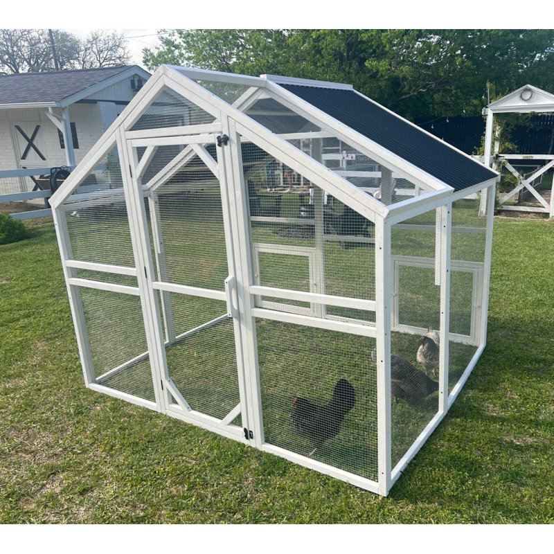 Zylina Modern Universal Poultry Pen - Medium | Wayfair