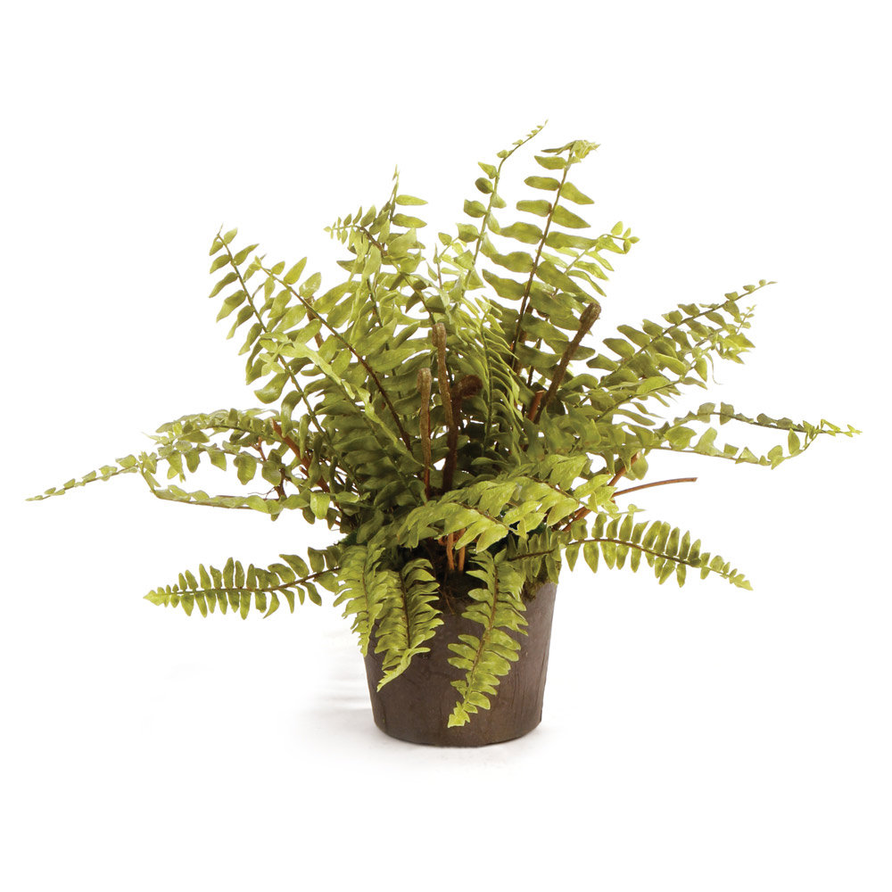 Millwood Pines Analea Fern Drop-In Faux Plant & Reviews - Wayfair Canada