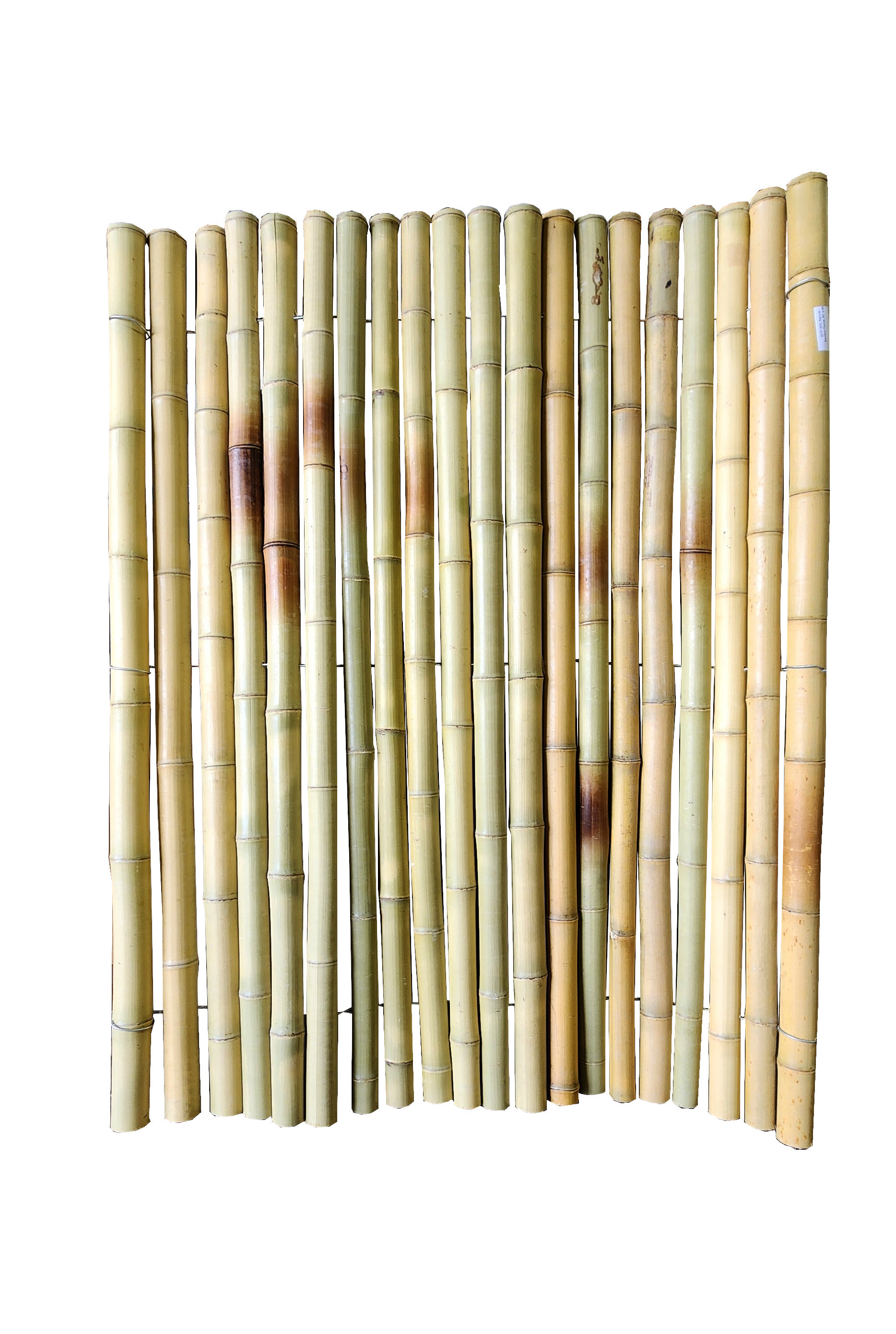 MGP Extra Large Timber Bamboo Poles fence - Wayfair Canada