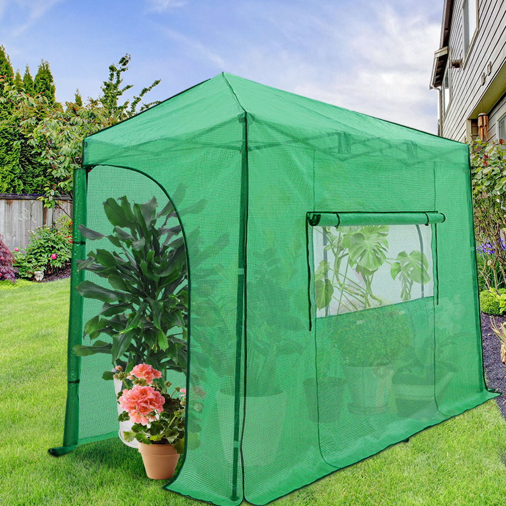 EAGLE PEAK Pop Up Greenhouses 10 Ft. W x 5 Ft. D Lean-To Greenhouse ...
