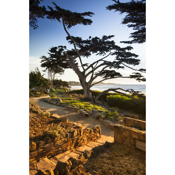 Ebern Designs Carmel Beach in Carmel-By-The-Sea by Pgiam | Wayfair