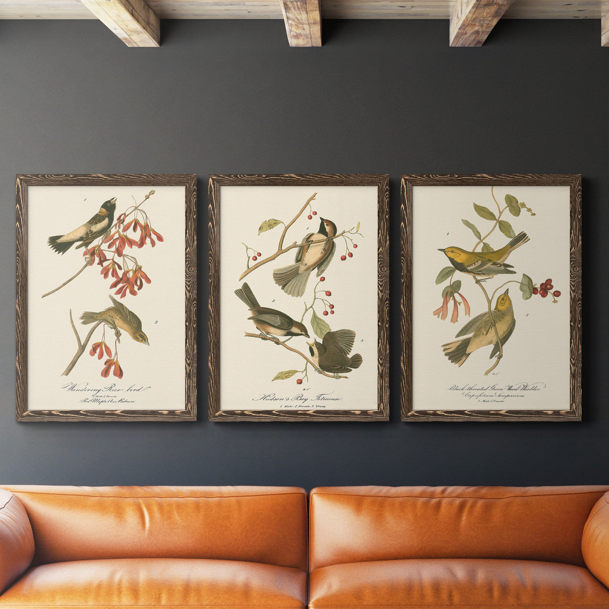 Red Barrel Studio® Wandering Rice Bird Picture Frame Painting Print Set ...