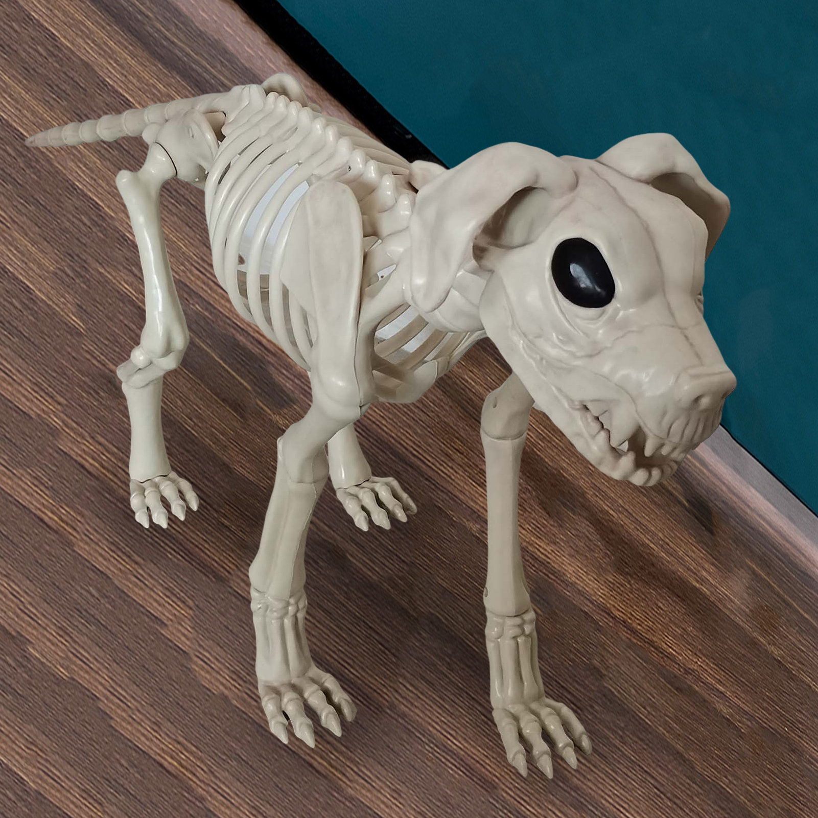 Trinx Halloween Skeleton Dog Realistic Animal Plastic Puppy with ...