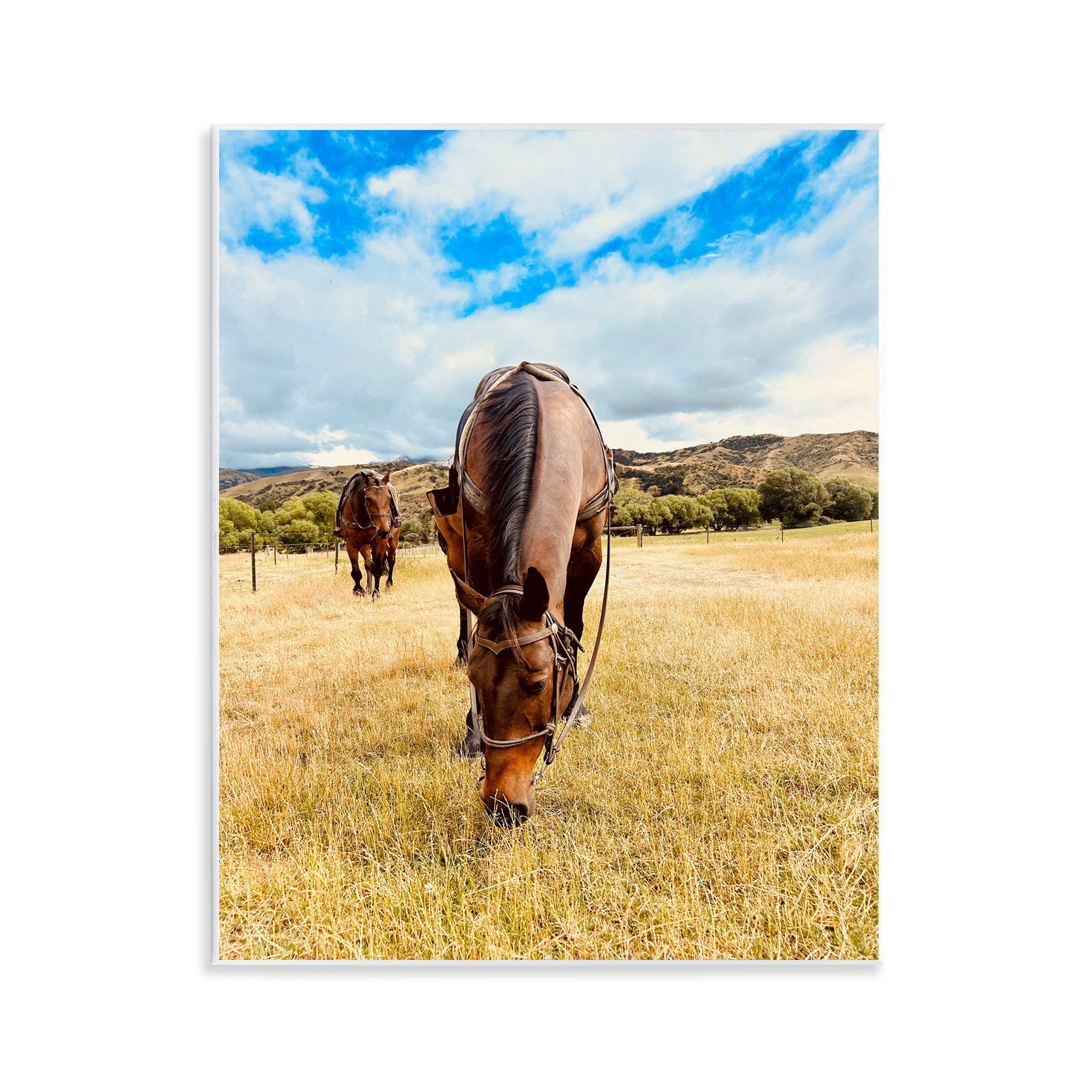 Union Rustic Grazing Horses Pasture Wall Plaque Art by Kali Wilson ...