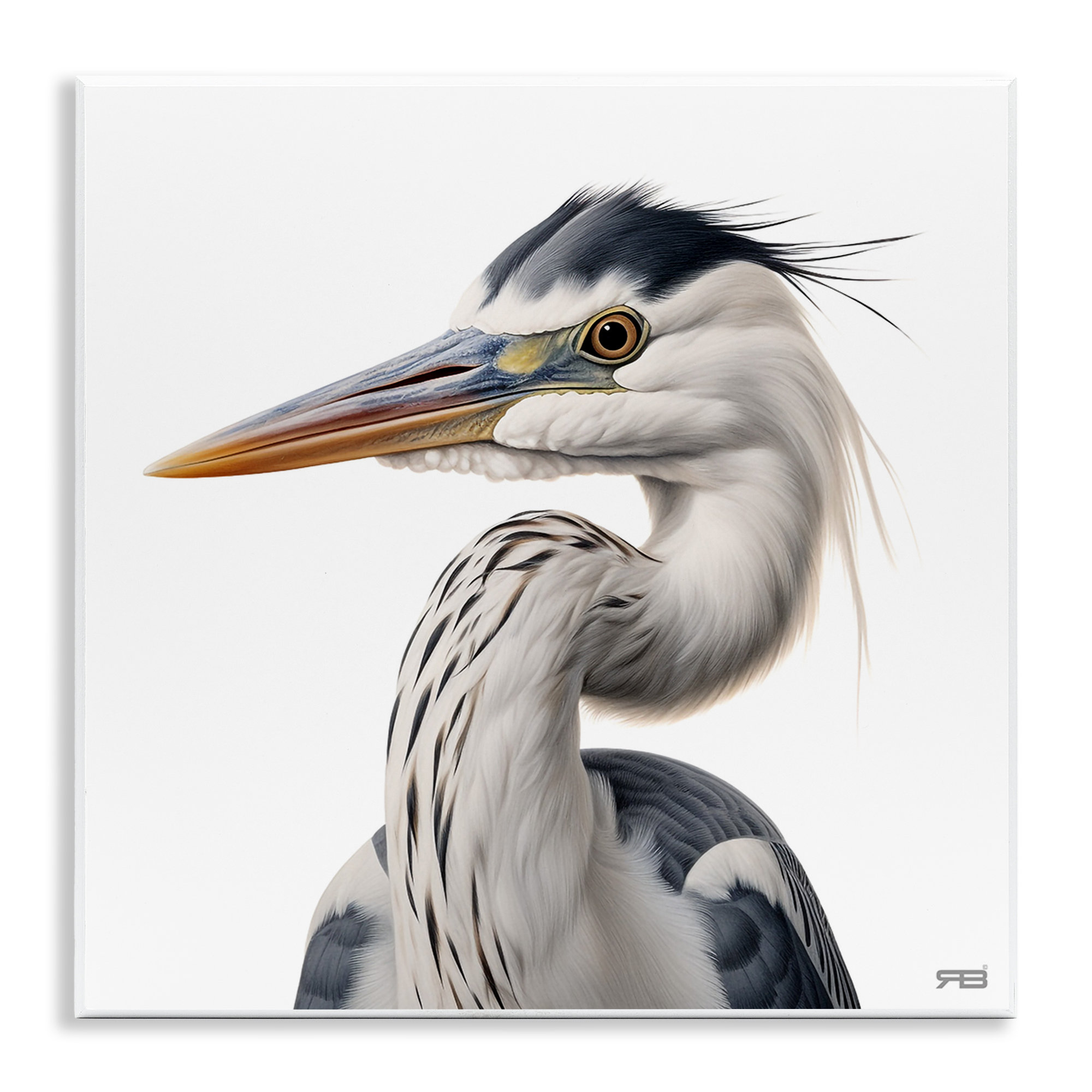 Wayfair.com - Online Home Store for Furniture, Decor, Outdoors & More