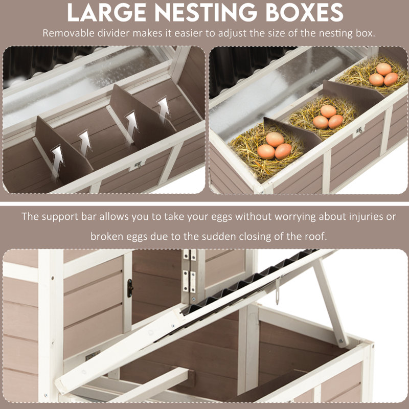 Tucker Murphy Pet™ Chicken Coop, 56" Large Wooden Chicken Hutch With 6 ...