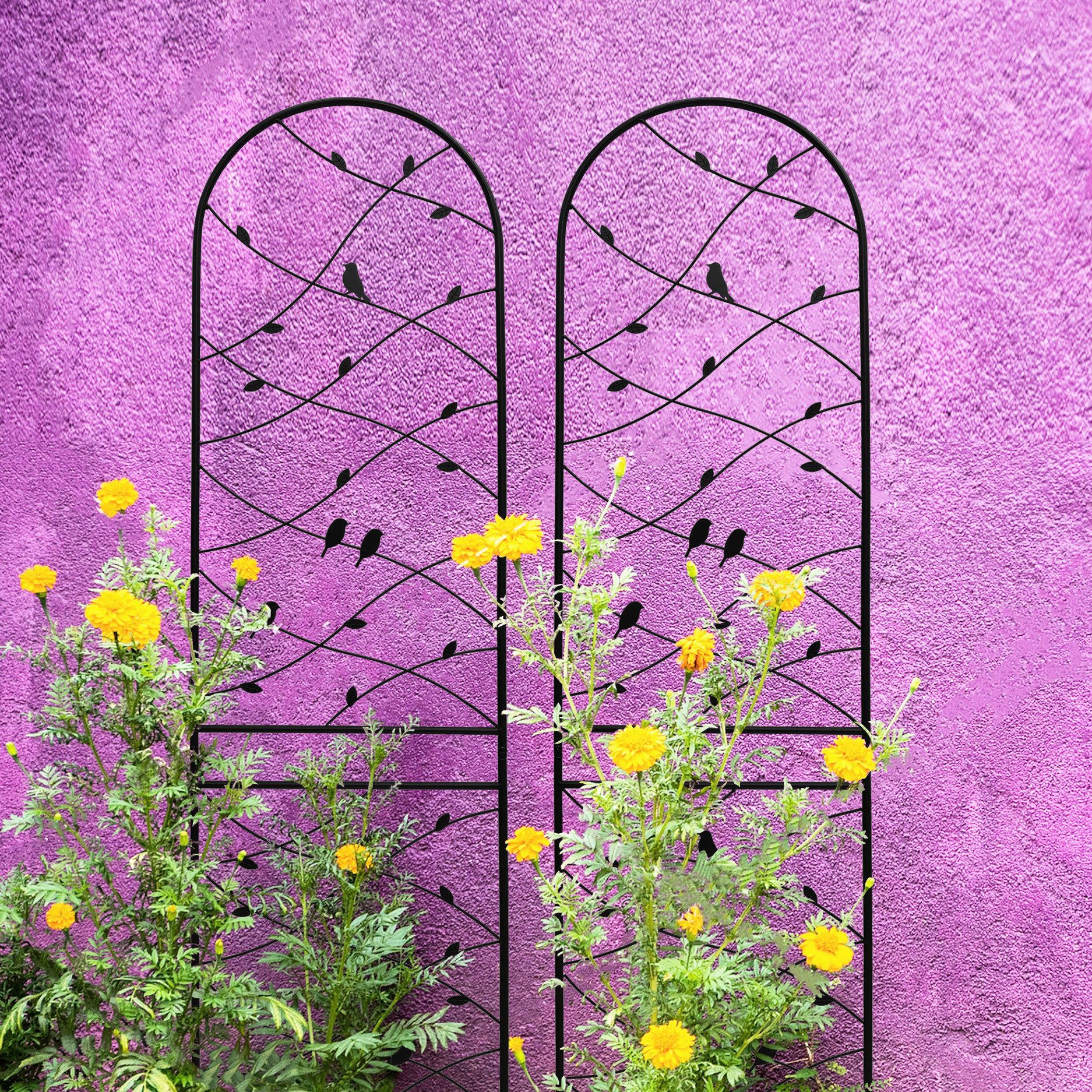 Red Barrel Studio Rustproof Metal Garden Trellis, For Rose , Outdoor ...