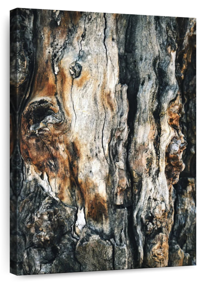 Lark Manor™ Harnek Ashen Wood | Wayfair