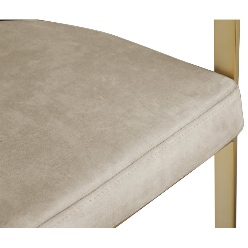 Willa Arlo Interiors Somer Velvet Ladder Back Arm Chair & Reviews | Wayfair