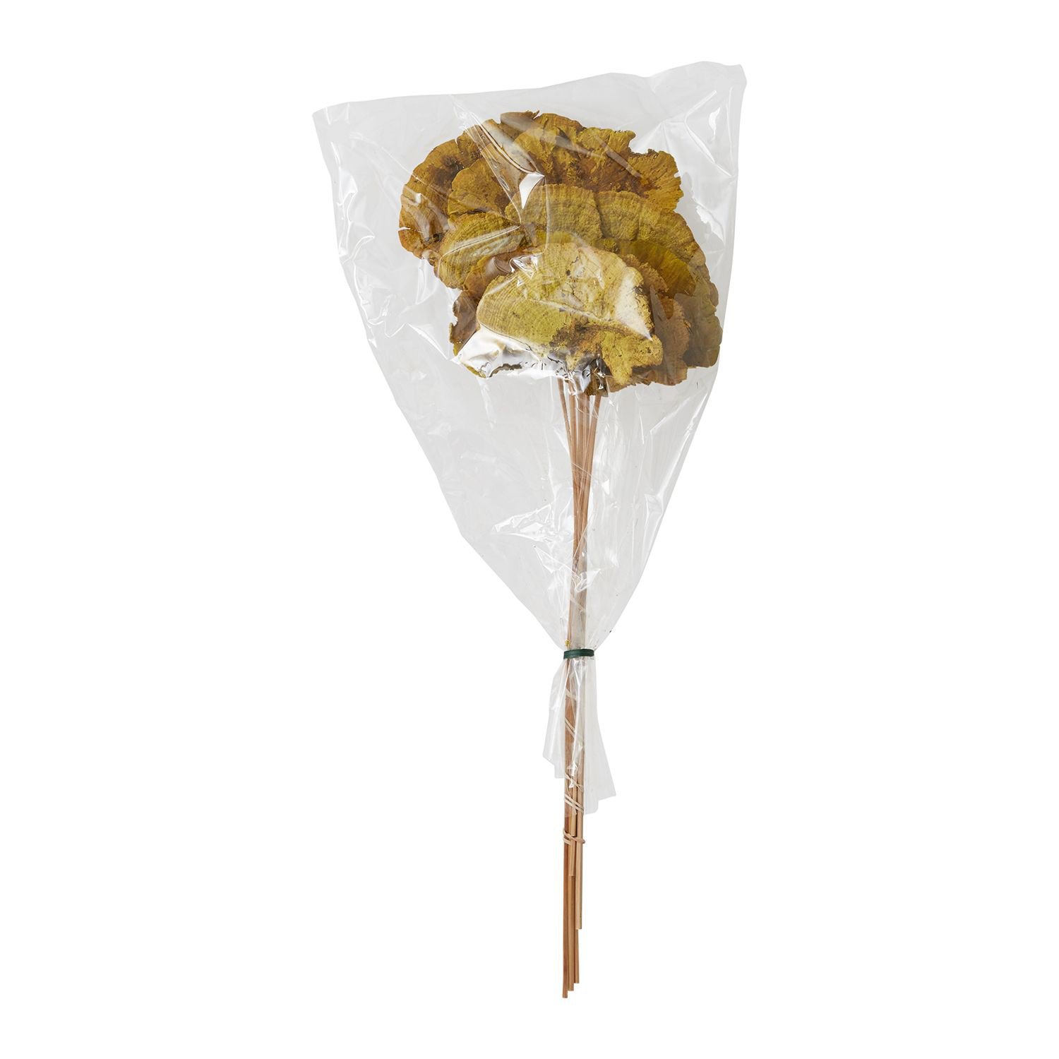 Primrue Sponge Mushroom Stem | Wayfair