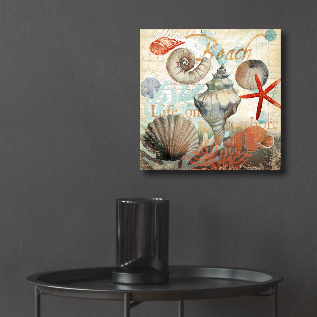 Ebern Designs 'Shell Collector1' by Art Licensing Studio Acrylic Glass ...