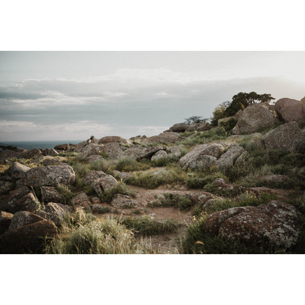 17 Stories Mt. Scott von Kimera Basore Foto - Druck | Wayfair.de