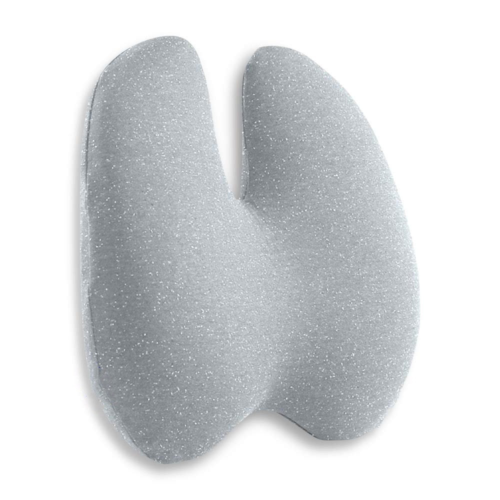 TOBLIB Extra Dense Lumbar Support Pillow - Wayfair Canada