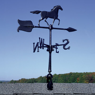 Whitehall Products 24'' H Weathervane & Reviews | Wayfair