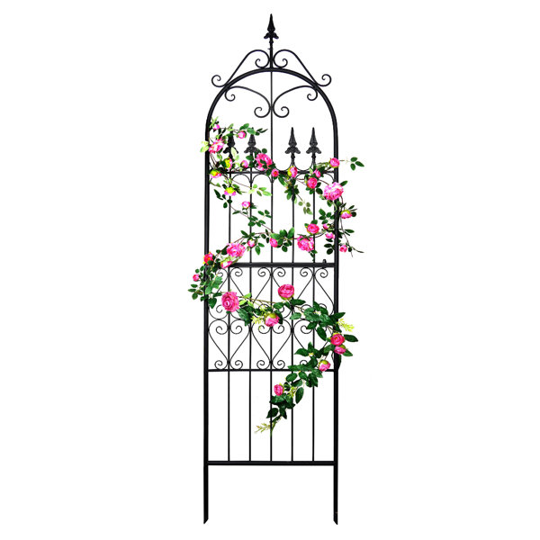 Red Barrel Studio® Anzavia 86'' H x 21.7'' W Iron Garden Trellis for ...