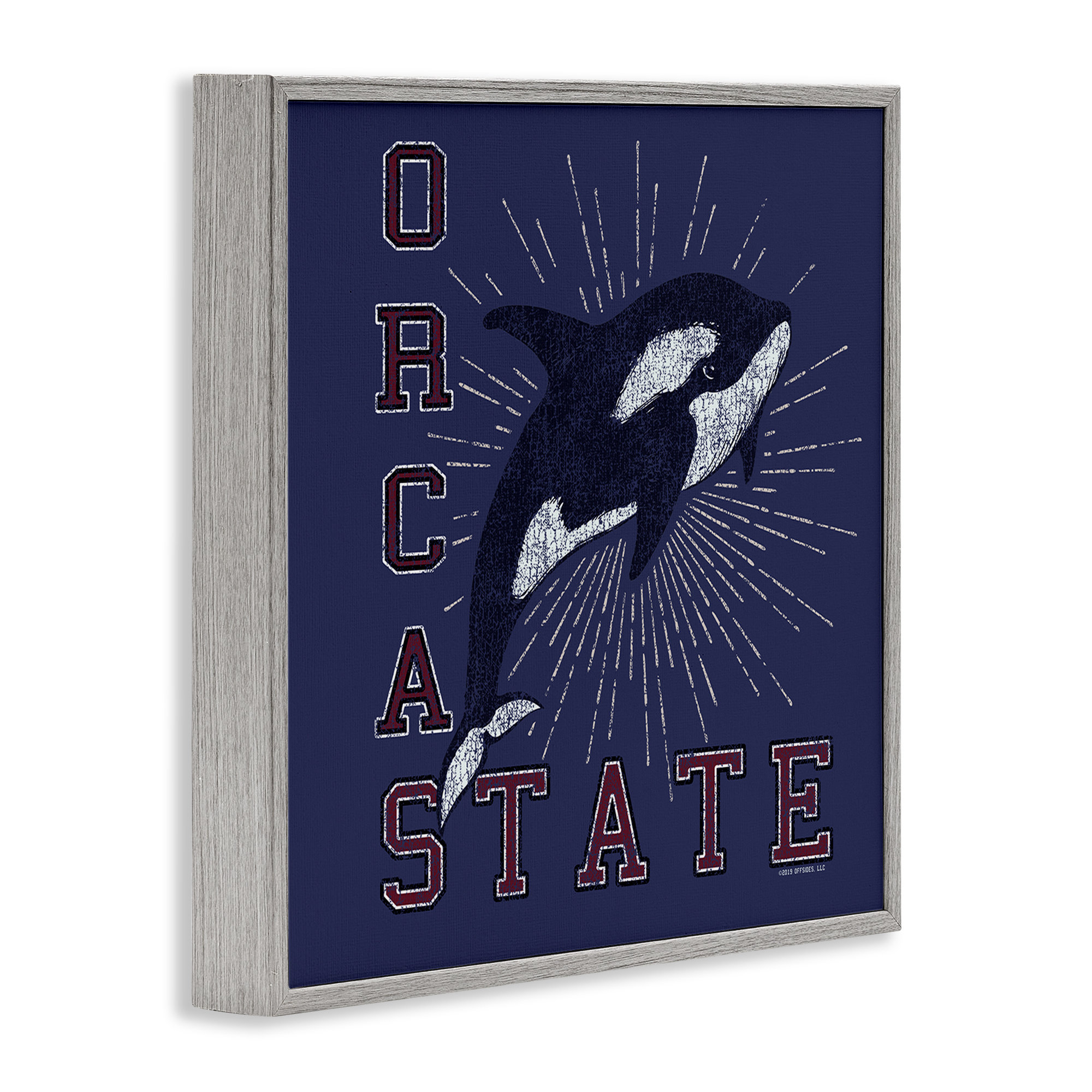 Ebern Designs Orca State Varsity Giclee Art by Spirit Animals/Life Is ...