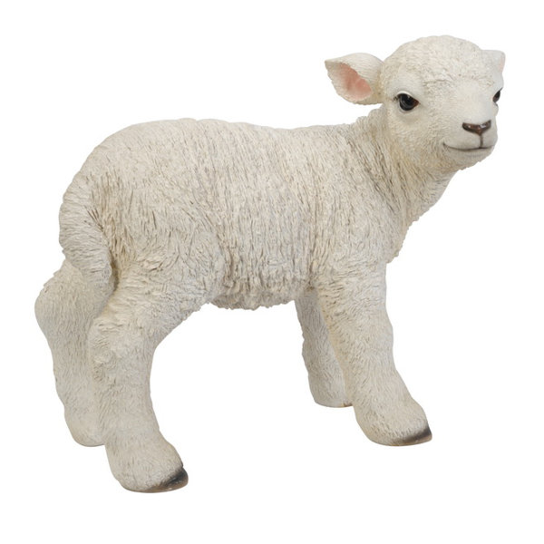 Hi-Line Gift Ltd. Standing Lamb Figurine & Reviews | Wayfair