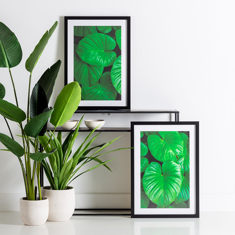 Bay Isle Home Leaves - 2 Piece Single Picture Frame Graphic Art ...