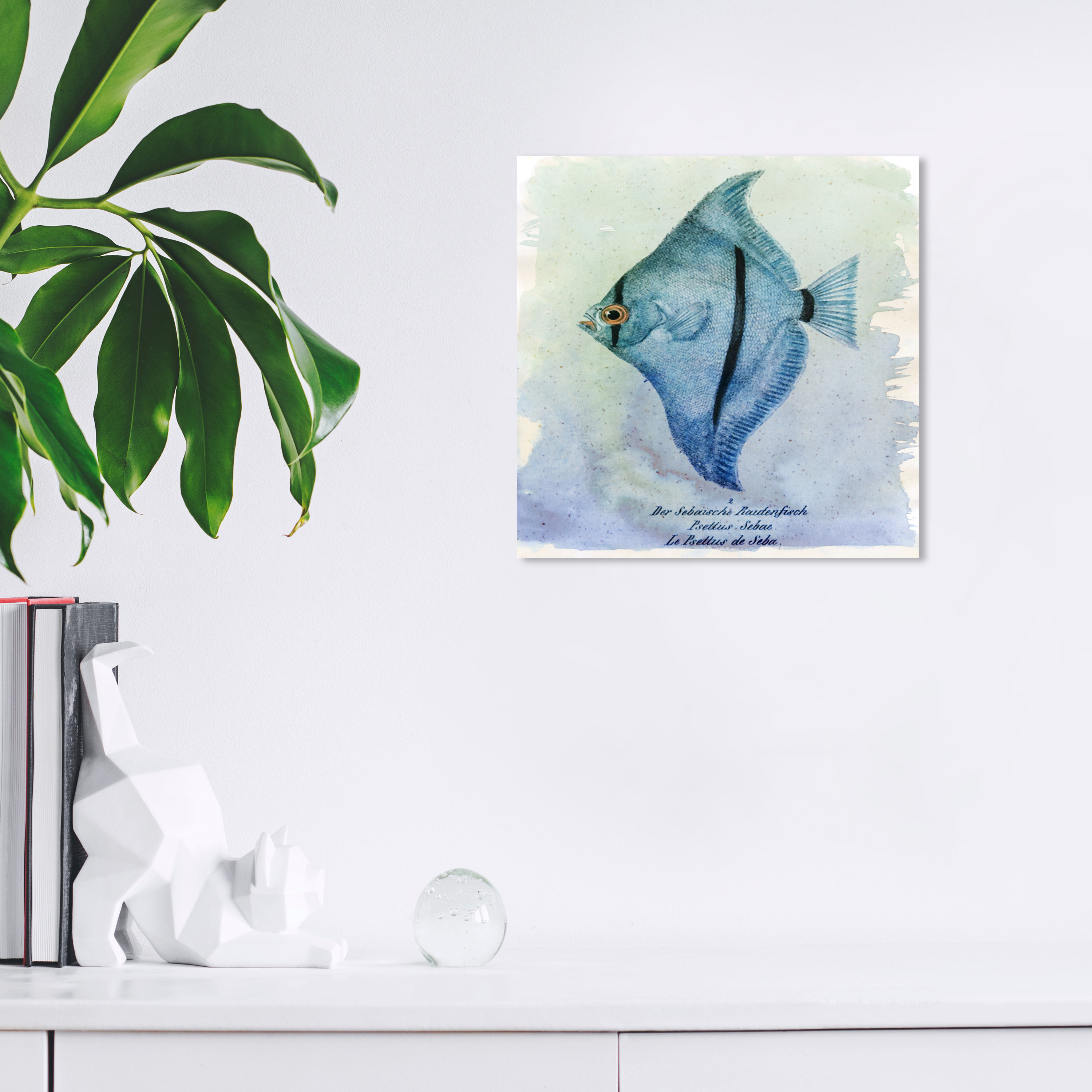 Wynwood Studio Animals Contemporary Canvas Art - Seba Fish Left -Side ...