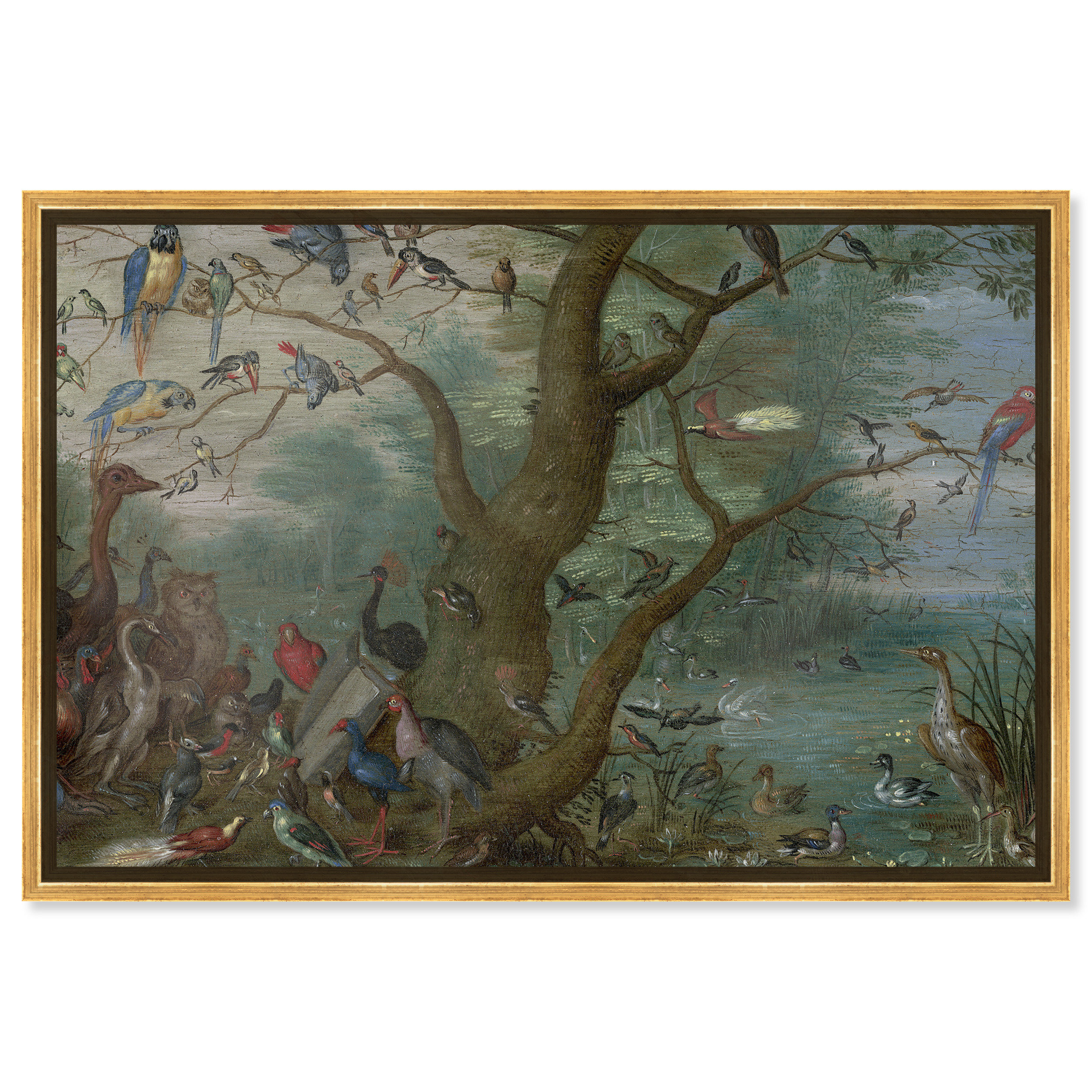 Oliver Gal Prints Animals 'Jan Van Kessel - Concert Of Birds' Birds By ...