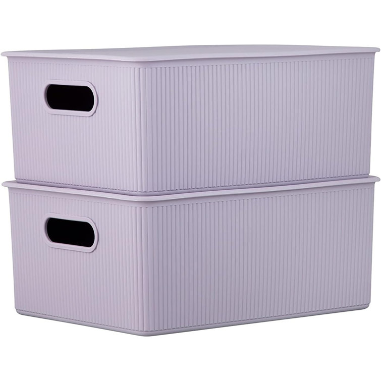 Latitude Run® Ribbed Storage Bin With Lids - Wayfair Canada