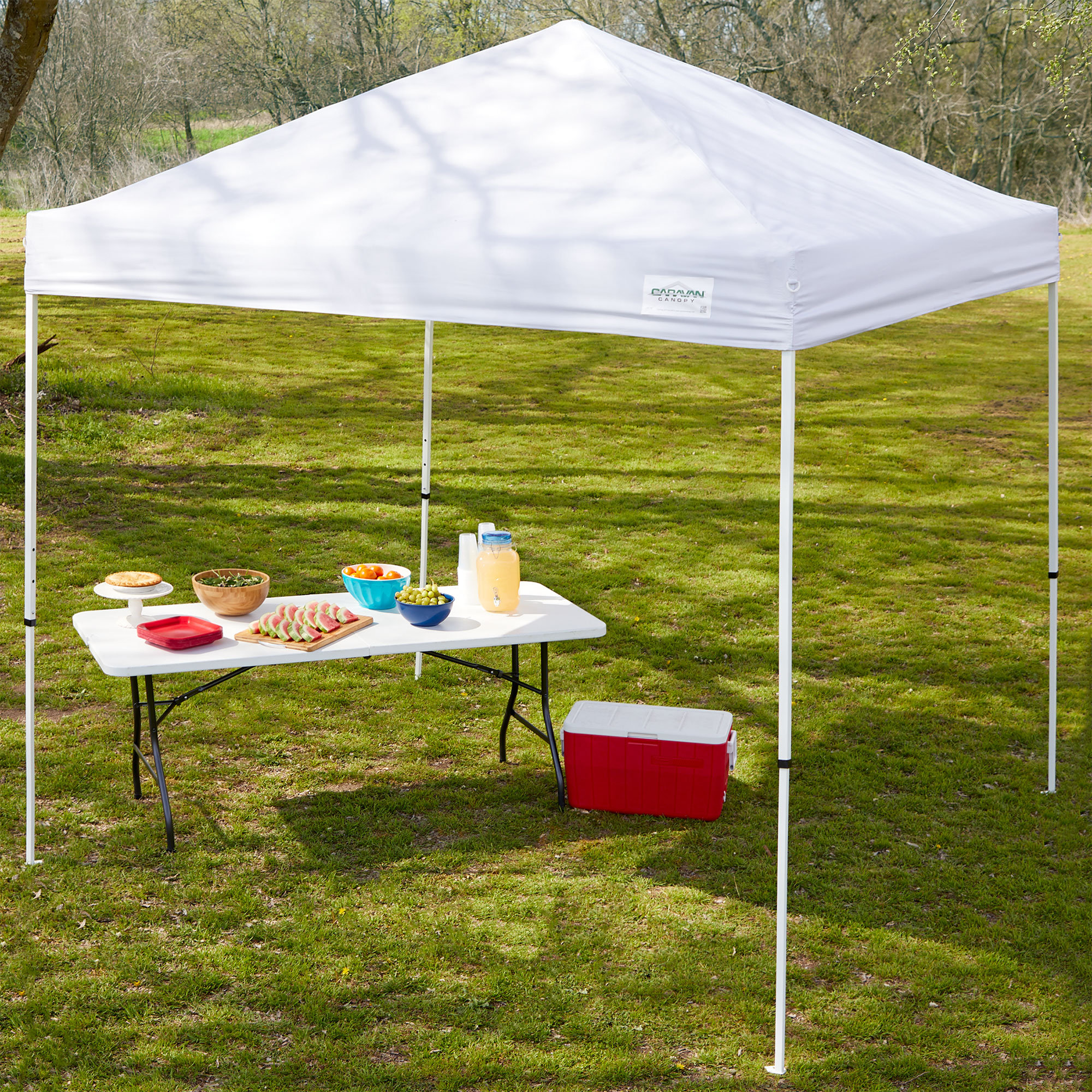 Caravan Global Caravan Canopy Straight Leg Canopy & Reviews | Wayfair