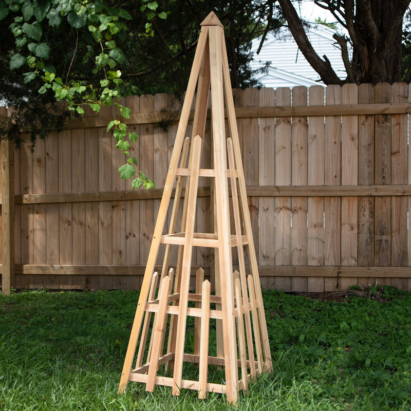 Arlmont & Co. Nikitah Cedar Pyramid Trellis. 72"H | Wayfair