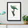 East Urban Home White-Winged Parakeet by F. Levaillant - Picture Frame ...