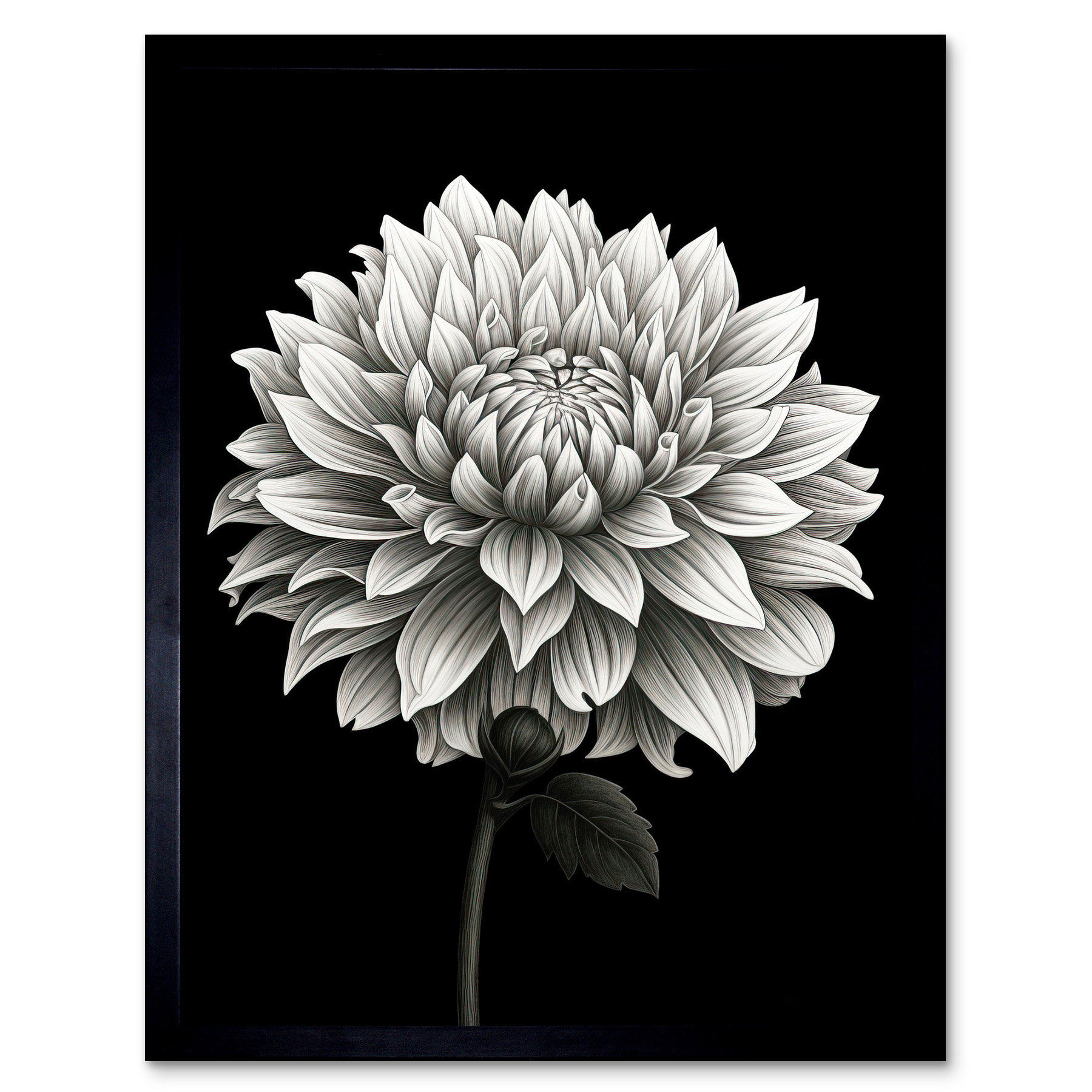Marlow Home Co. Tullyrusk Dahlia Flower Bloom White On Black ...