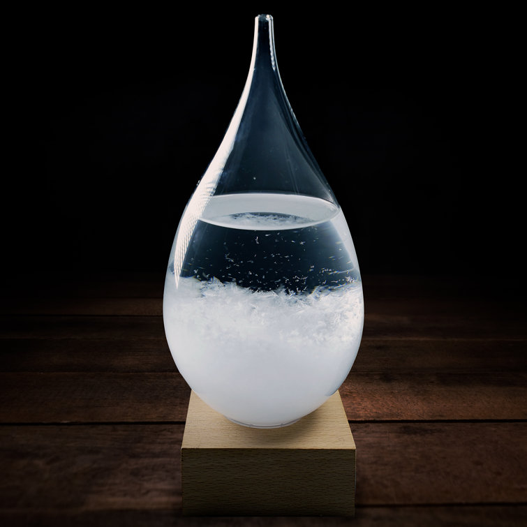 Ingenious Storm Tear Drop Water Globe | Wayfair.co.uk