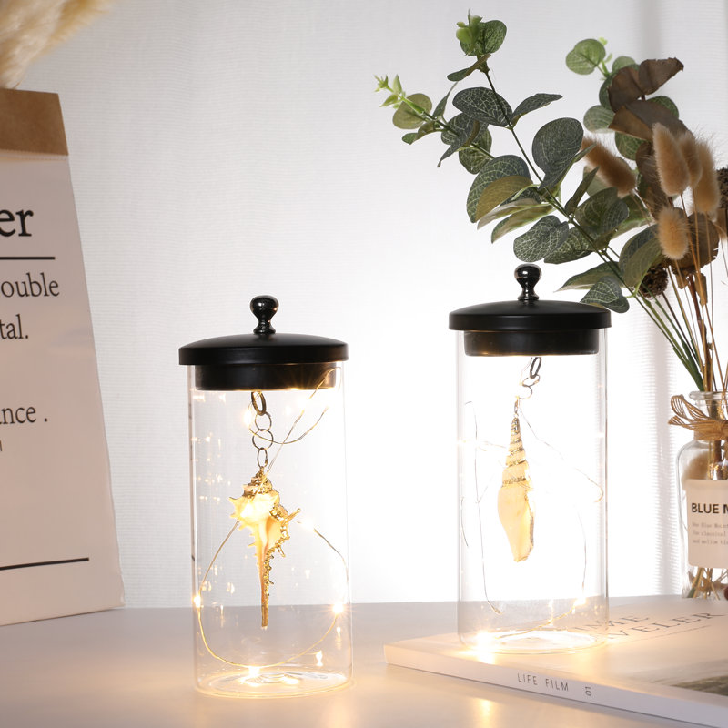 Dovecove 2 Piece Sea Shell Pendant Decorative Lamp Battery Powered ...