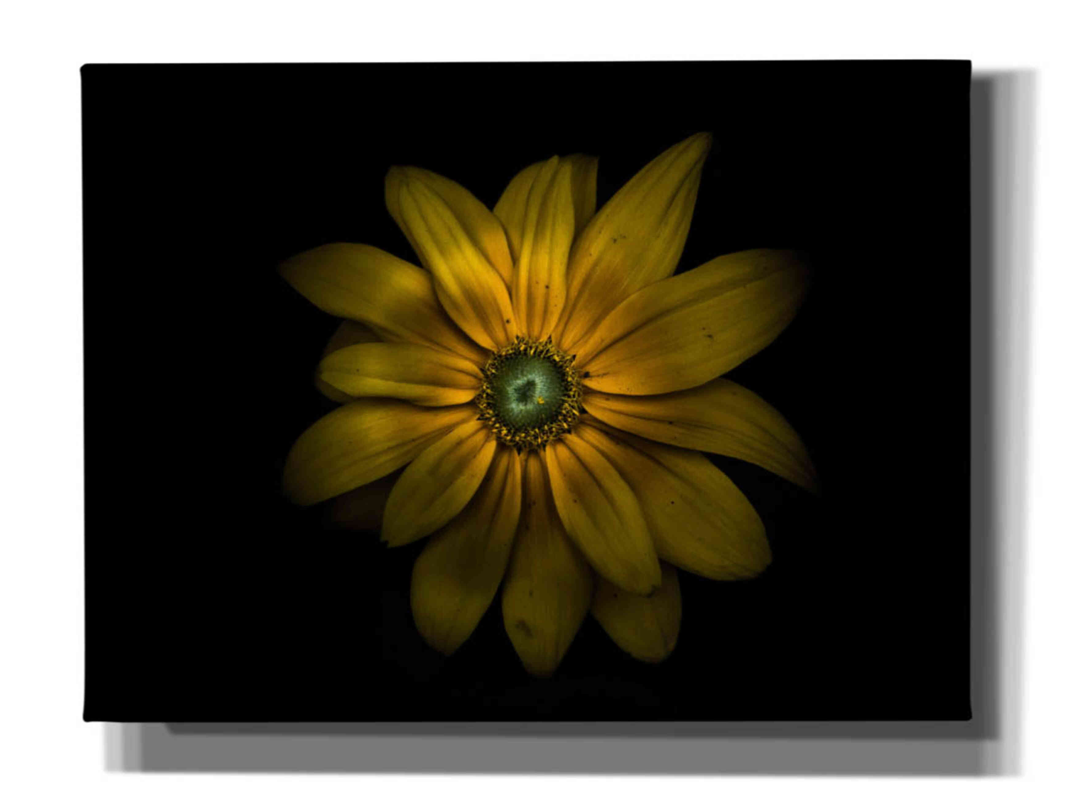 Red Barrel Studio® Backyard Flowers 34 Color Version by Brian Carson ...